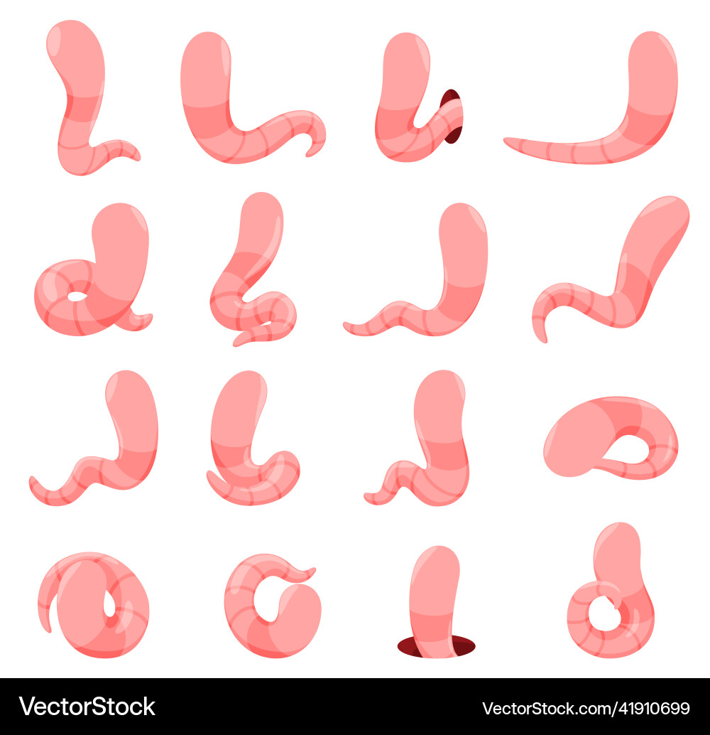 Minimalist simple faceless pink worms set Vector Image