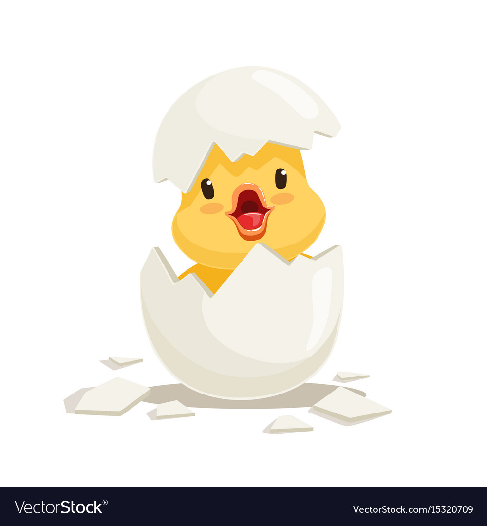 Funny yellow newborn chicken in broken egg shell Vector Image Funny yellow newborn chicken in broken egg shell Vector Image