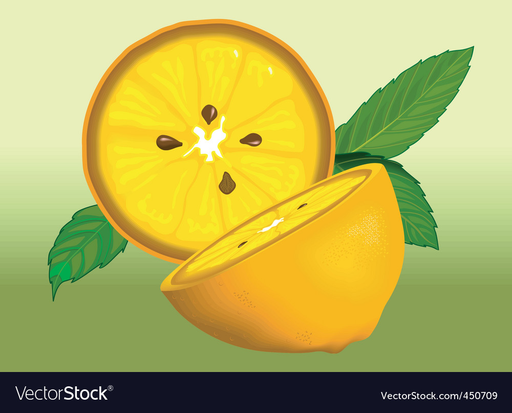 Lemon Royalty Free Vector Image - VectorStock