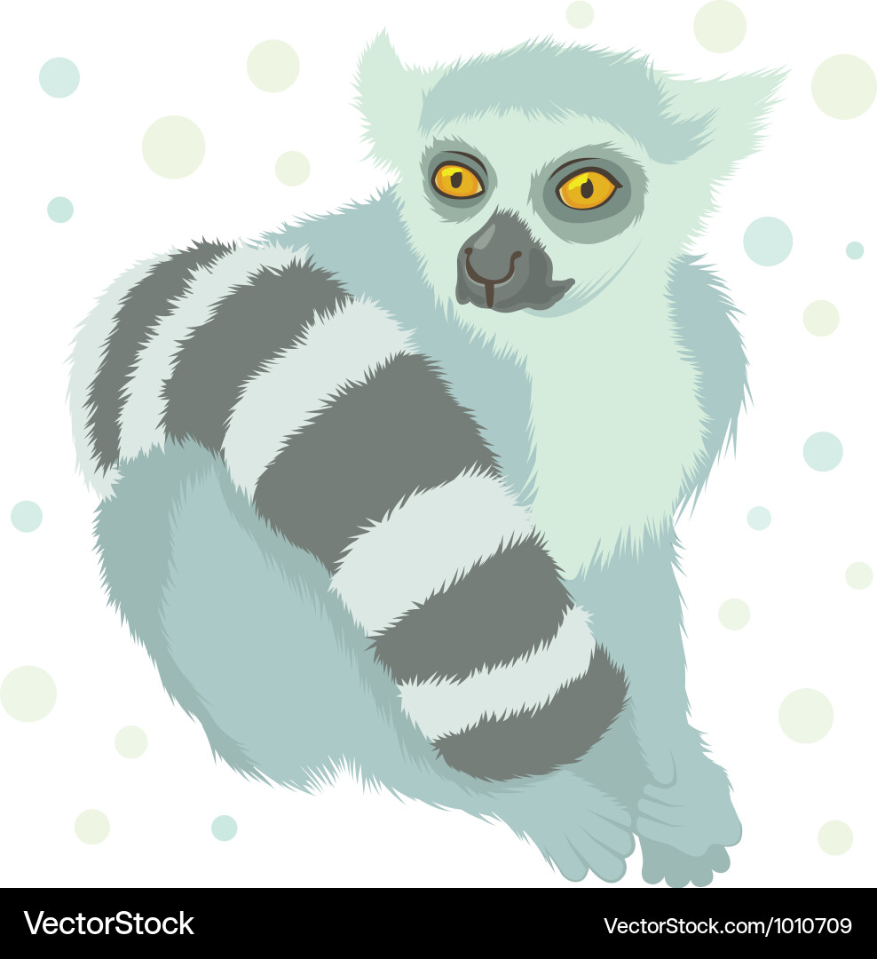 Ring tailed lemur Royalty Free Vector Image - VectorStock