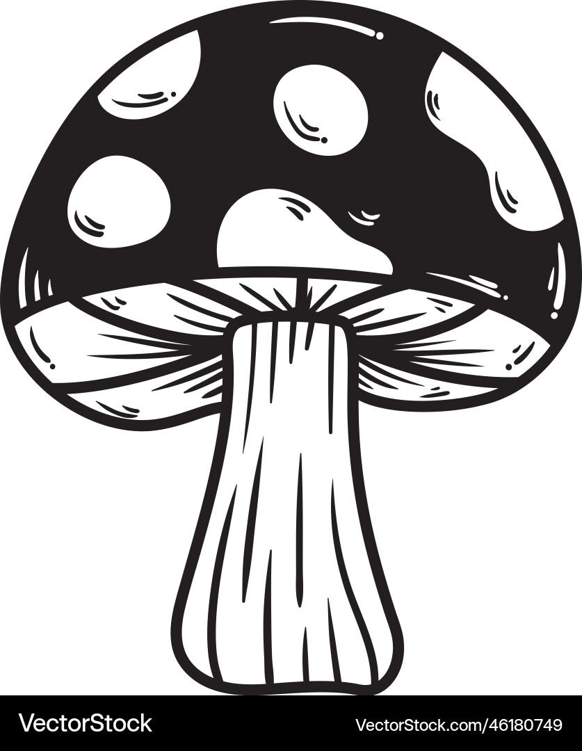 Fungus plant garden nature Royalty Free Vector Image