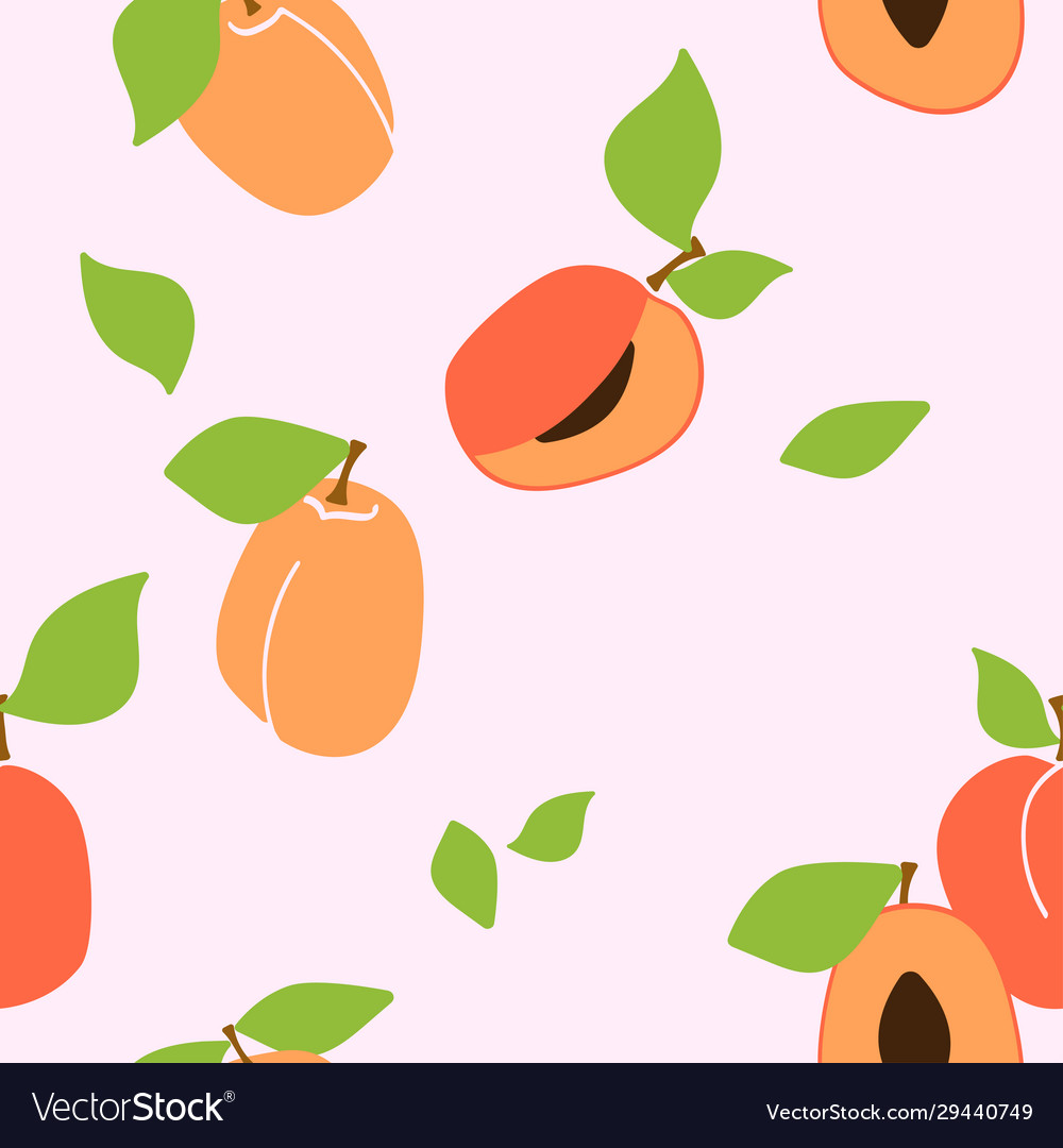 Pattern with apricot pulp Royalty Free Vector Image