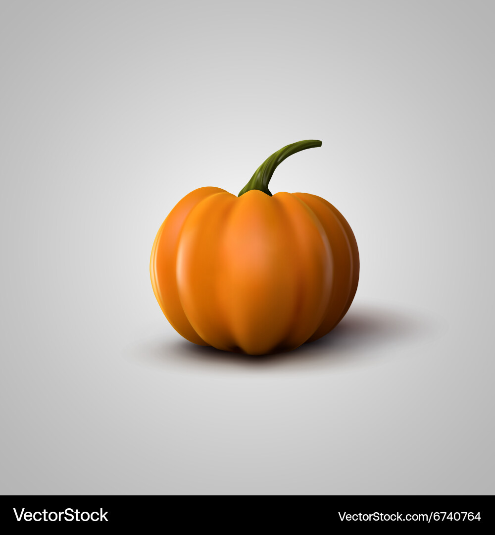 Realistic pumpkin Royalty Free Vector Image - VectorStock