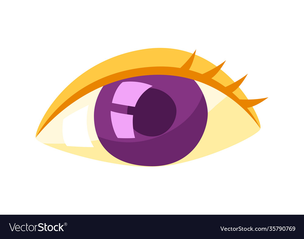 Human eye Royalty Free Vector Image - VectorStock