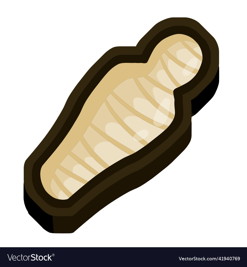 Mummy In A Coffin Ancient Ruler Royalty Free Vector Image