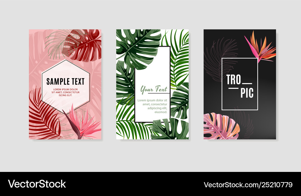 Set tropical design cards bright natural Vector Image