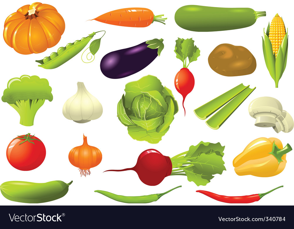 Set vegetables Royalty Free Vector Image - VectorStock