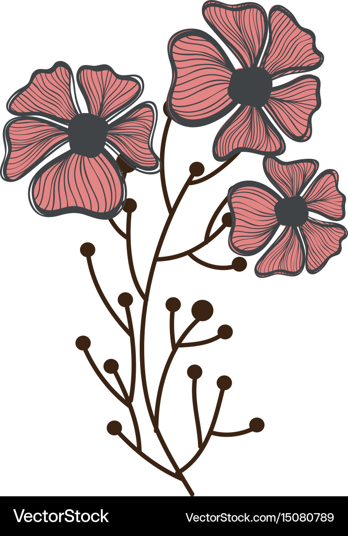 Beautiful flower decoration icon Royalty Free Vector Image