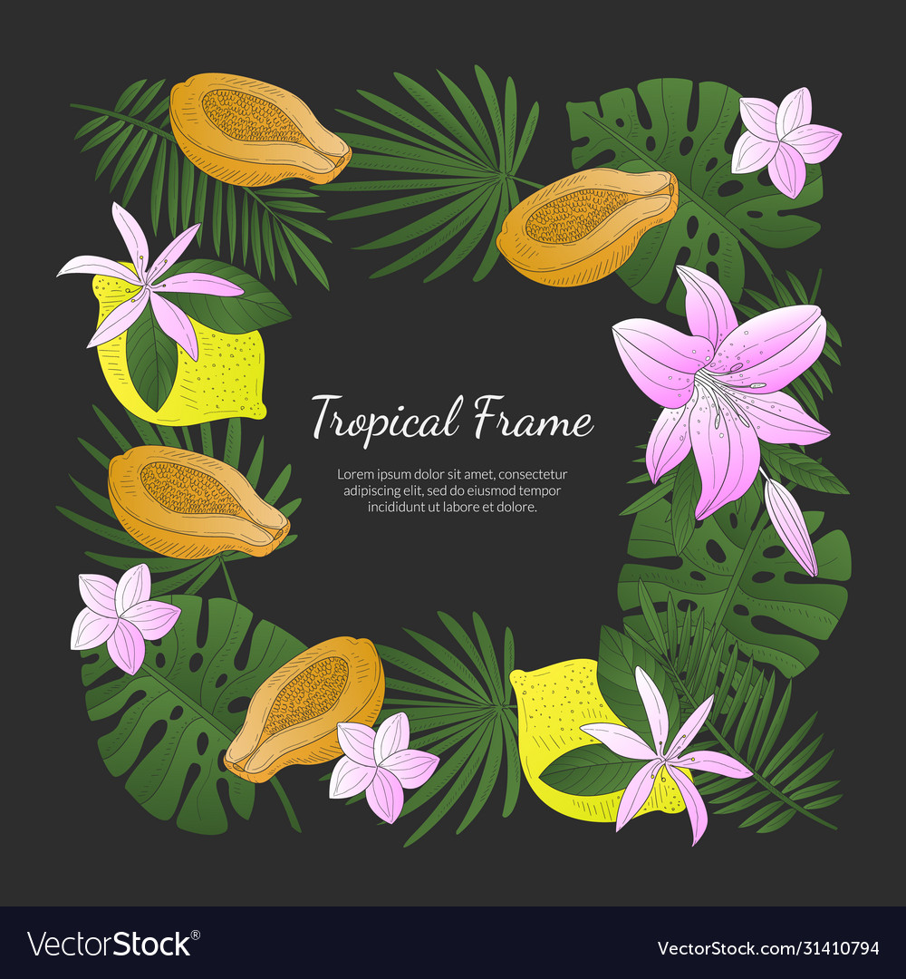 Tropical frame banner template with bright exotic Vector Image