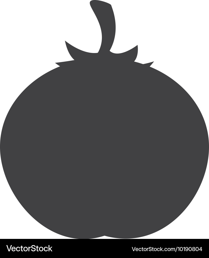 Tomato food vegetable icon graphic Royalty Free Vector Image