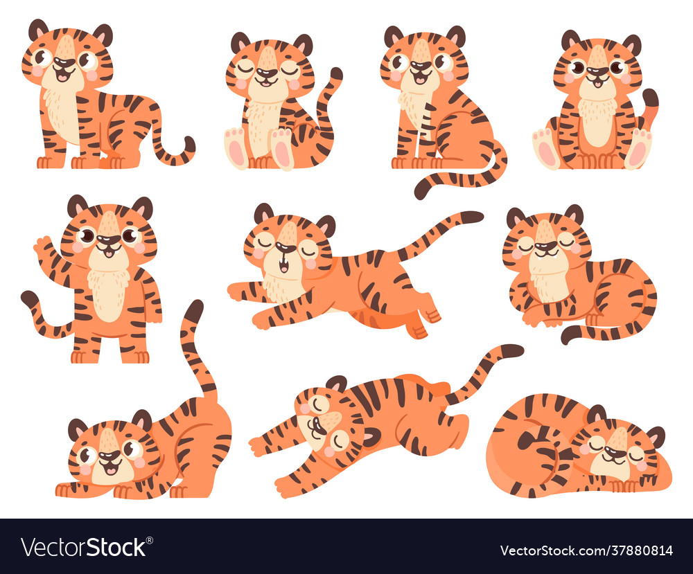Cute baby tigers cartoon jungle animal for kids Vector Image