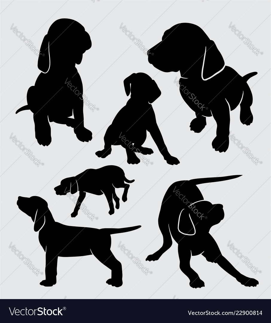 Dog vizsla pet mammal animal silhouette Royalty Free Vector Dog vizsla pet mammal animal silhouette Royalty Free Vector