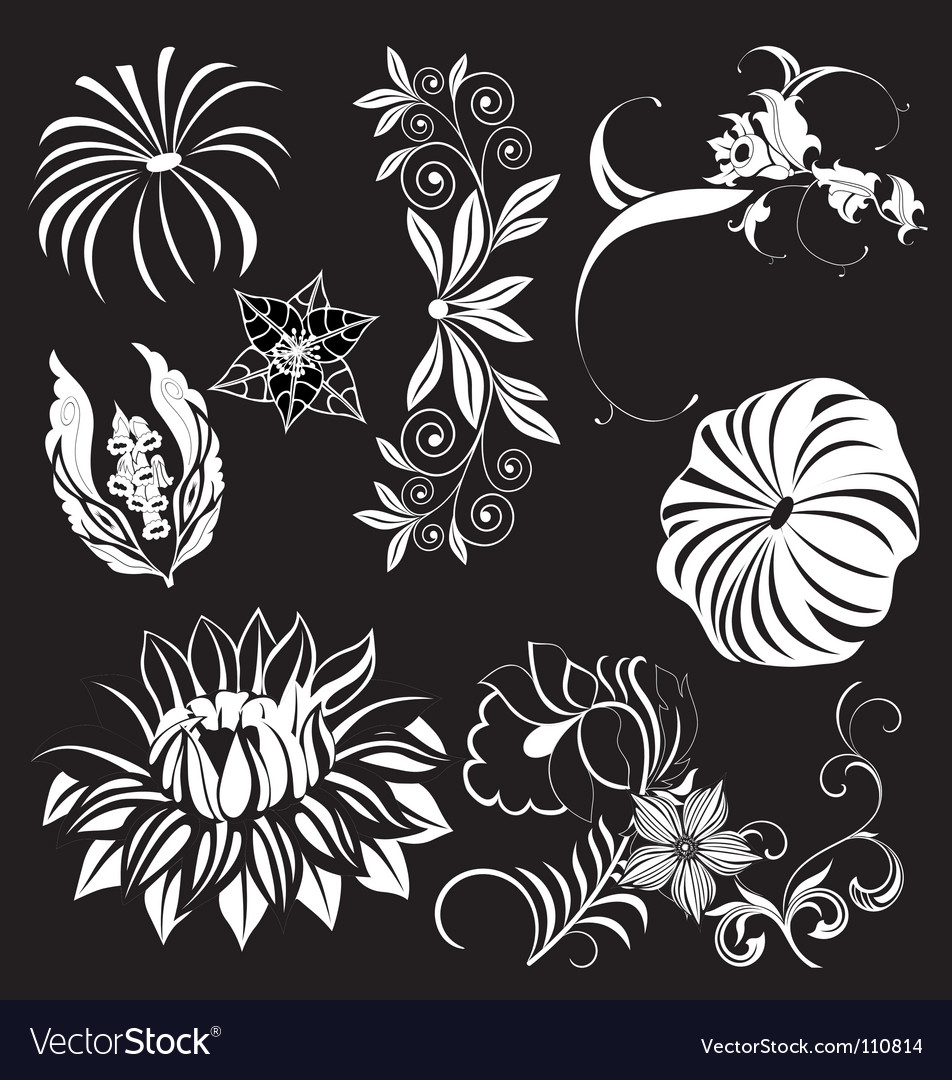 Floral elements Royalty Free Vector Image - VectorStock
