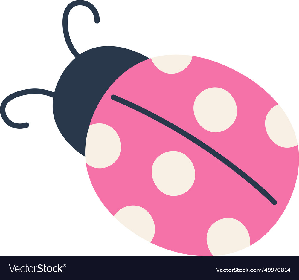 Lady bug insect Royalty Free Vector Image - VectorStock Lady bug insect Royalty Free Vector Image - VectorStock