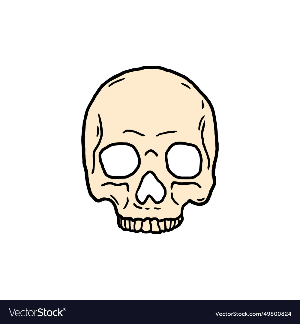 Skull Royalty Free Vector Image - VectorStock