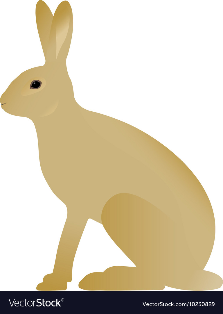 A hare Royalty Free Vector Image - VectorStock