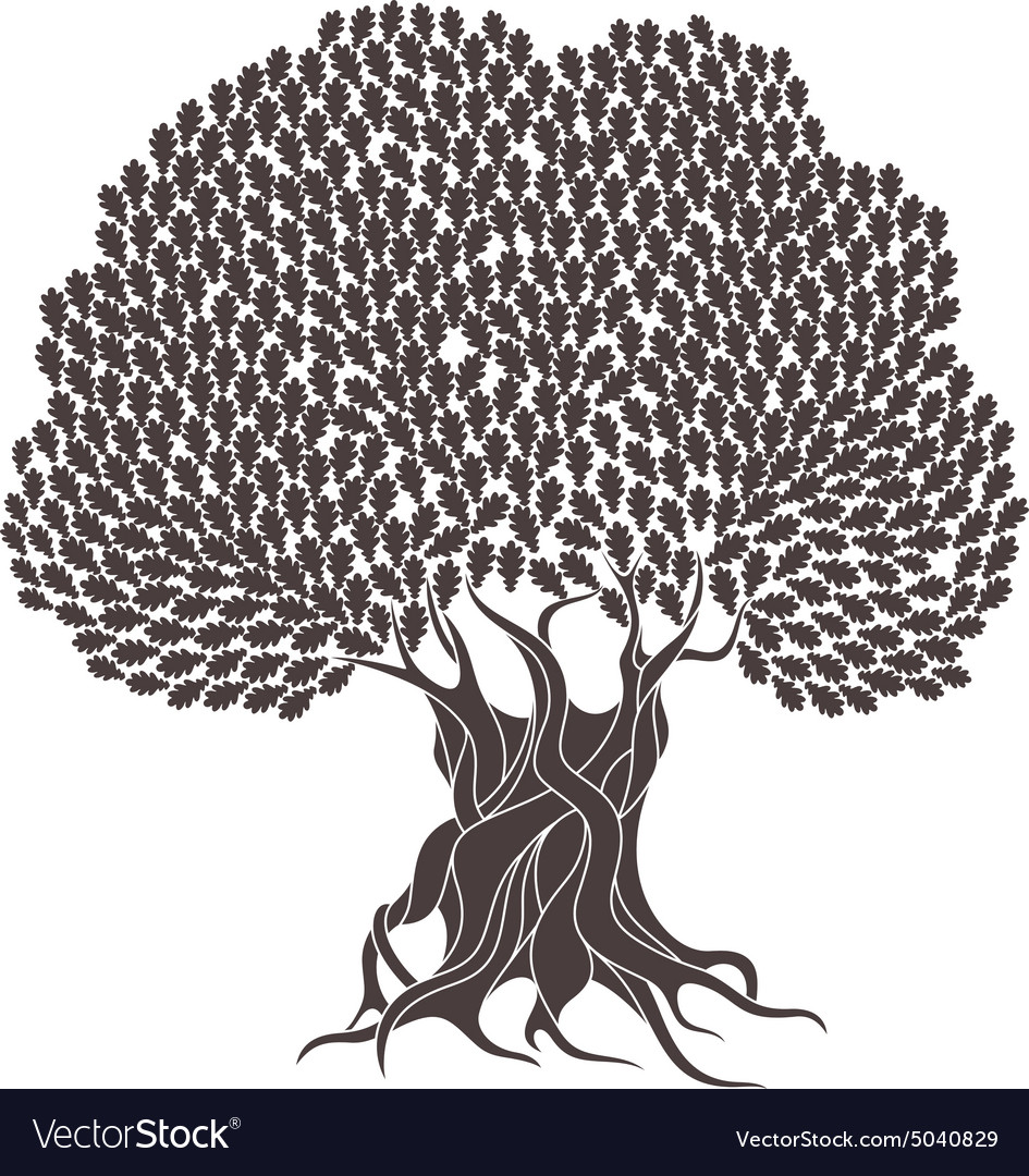 Oak tree Royalty Free Vector Image - VectorStock