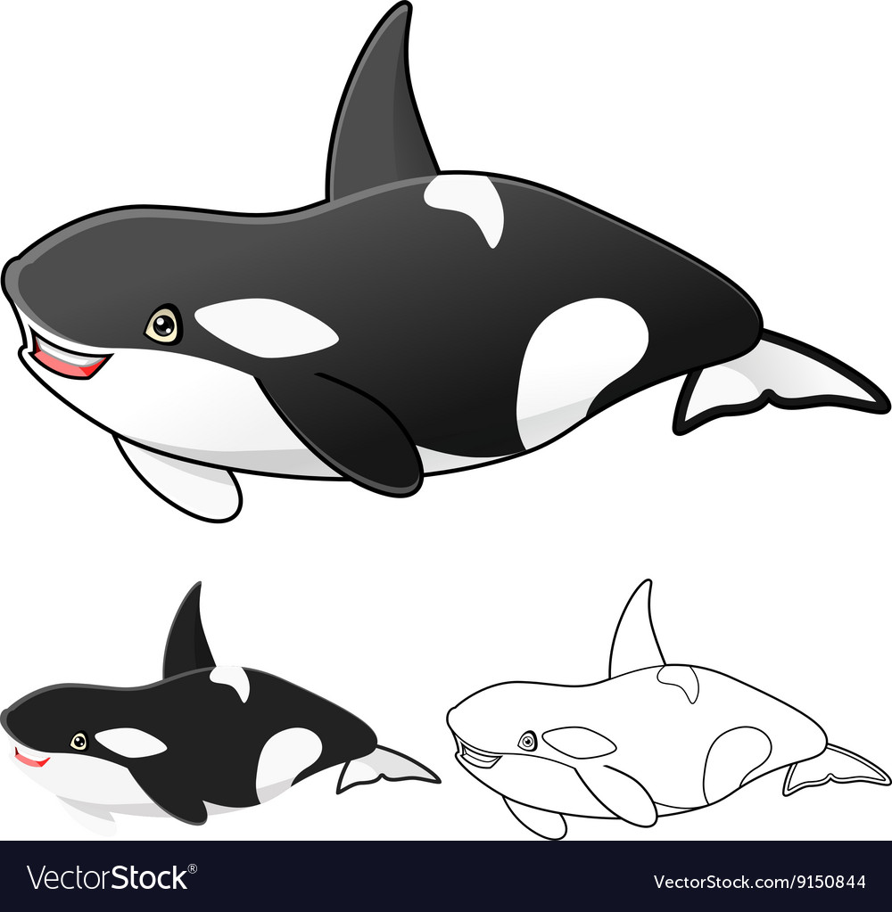 Orca Royalty Free Vector Image - VectorStock