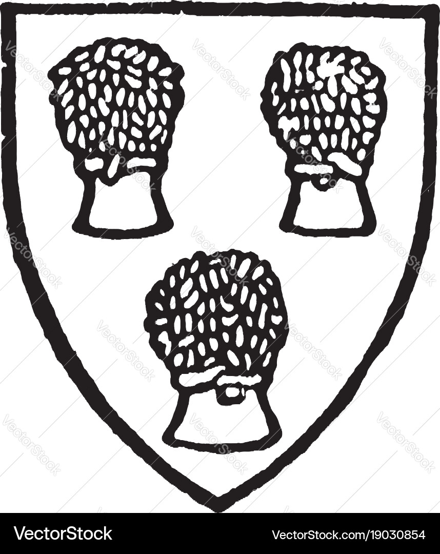 Chester have three sheaves being on the shield Vector Image