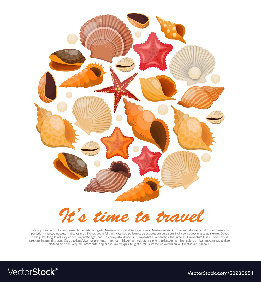 Concept shells and sea stars Royalty Free Vector Image