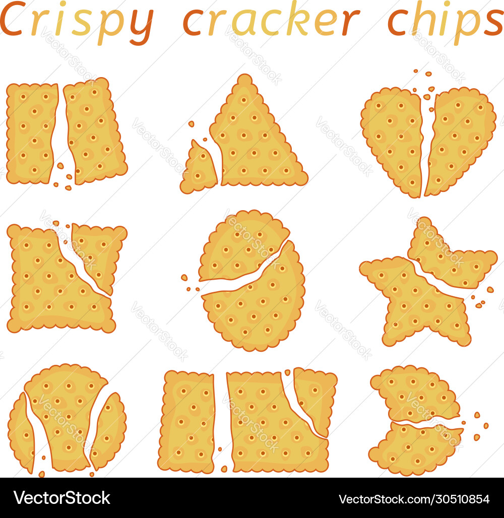 Set broken baked cracker chips Royalty Free Vector Image