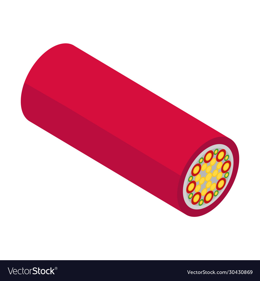 Fiber cable icon isometric Royalty Free Vector Image