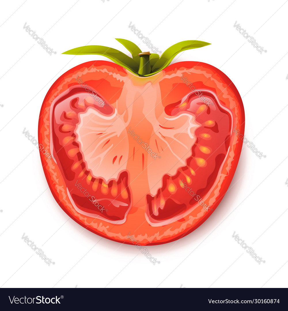 Tomato opened Royalty Free Vector Image - VectorStock