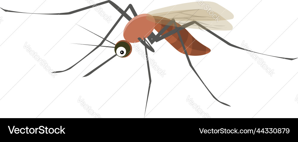 Big mosquito on a white background Royalty Free Vector Image