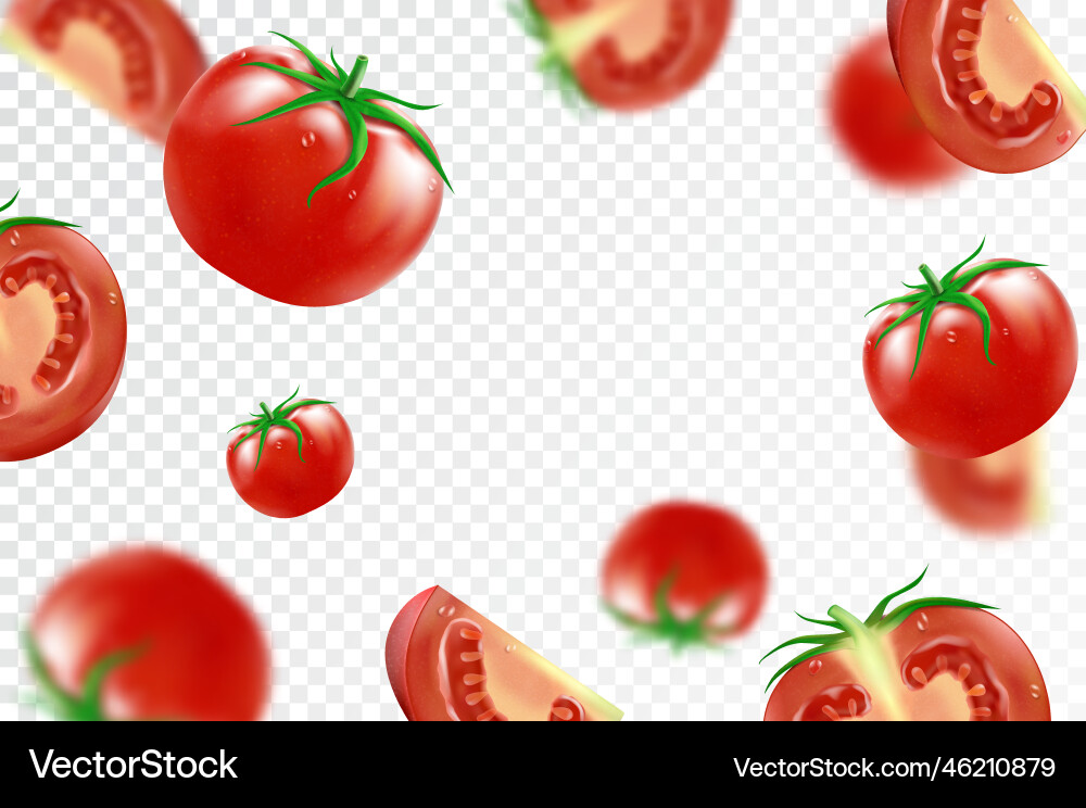 Tomato background falling fresh ripe tomatoes Vector Image