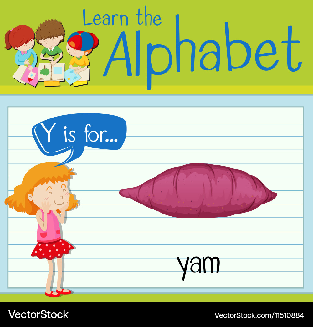 Flashcard letter y is for yam Royalty Free Vector Image