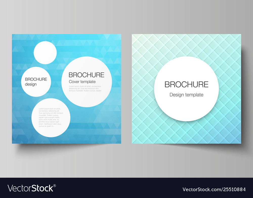 Minimal editable layout Royalty Free Vector Image