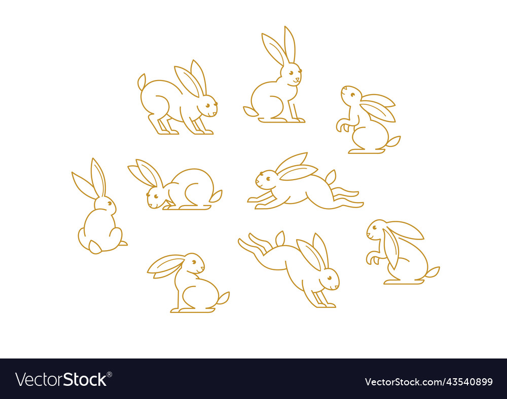Set with line art rabbit icons symbols logo Vector Image