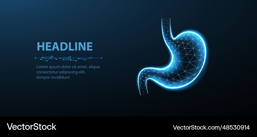 Abstract wireframe stomach stomach Royalty Free Vector Image