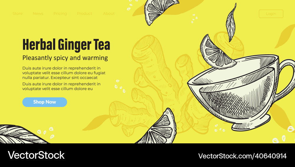 Herbal ginger tea with mint leaves and citrus Vector Image
