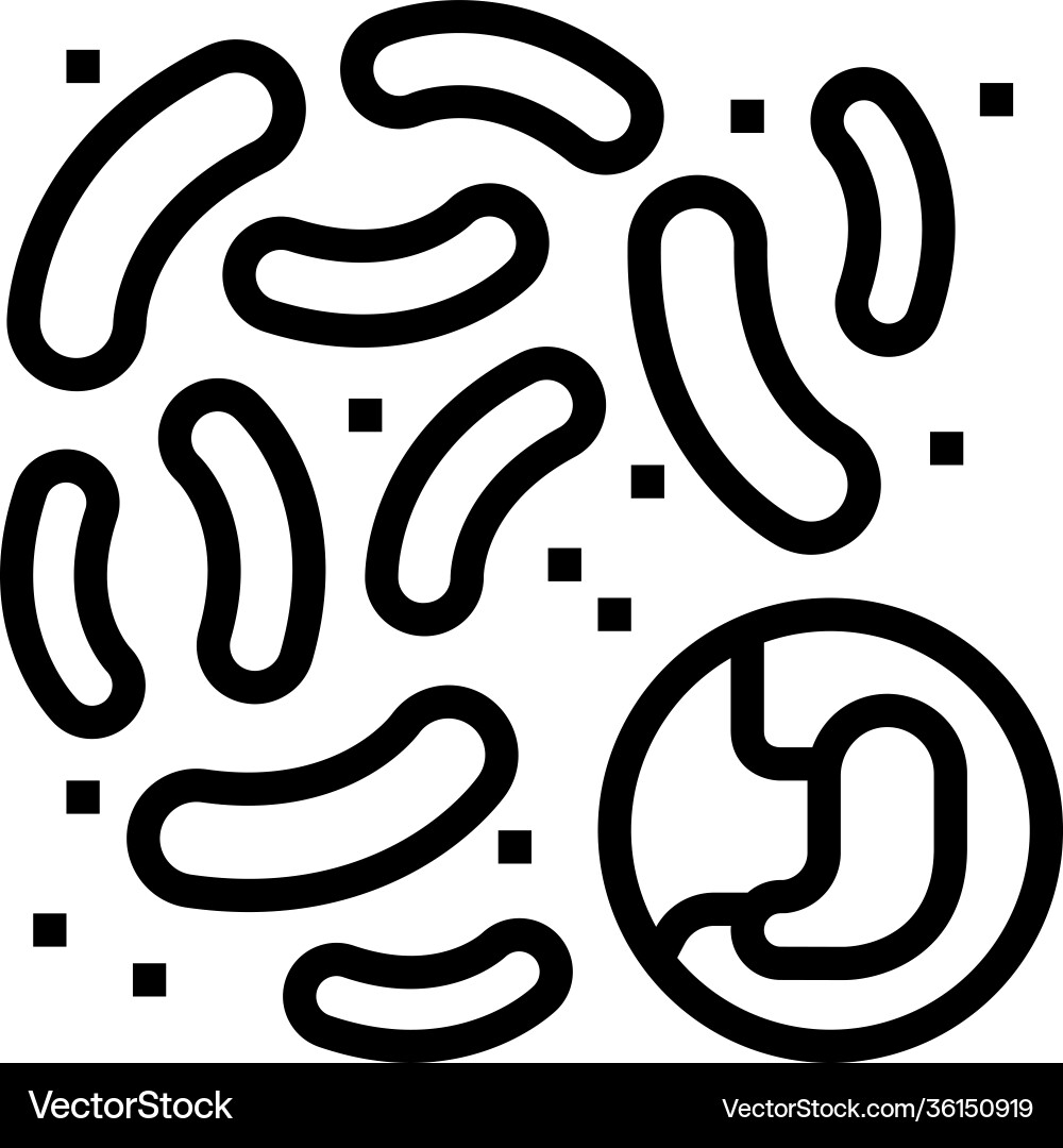 Bacteria or fungus digestion system line icon Vector Image
