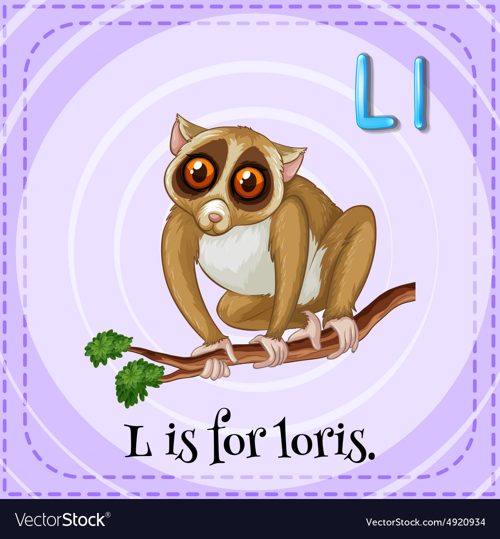 Loris Royalty Free Vector Image - VectorStock