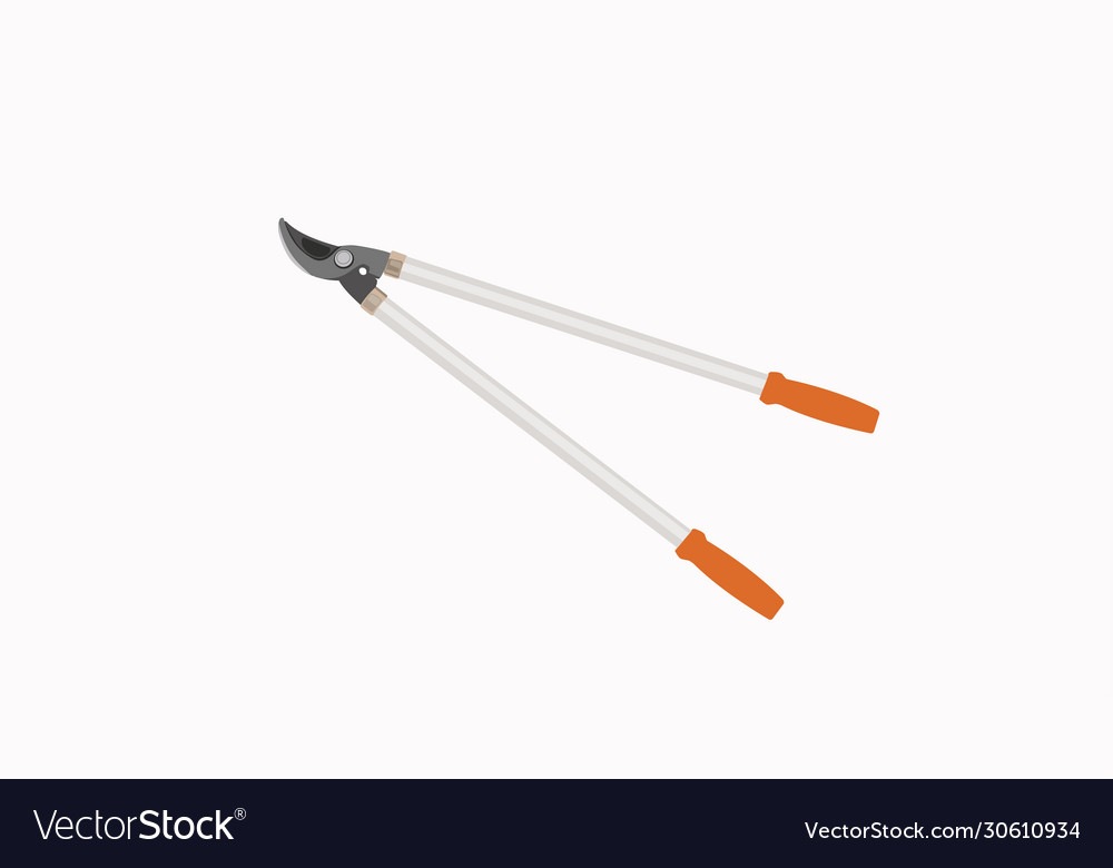 Shears Royalty Free Vector Image - VectorStock