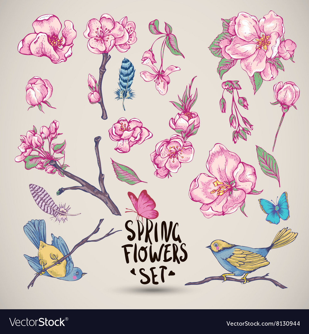Set spring nature elements Royalty Free Vector Image