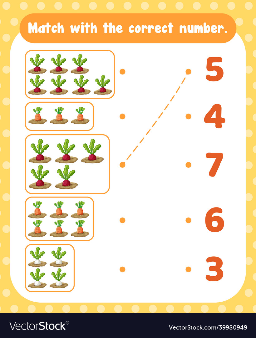 Count and match numbers math worksheet template Vector Image