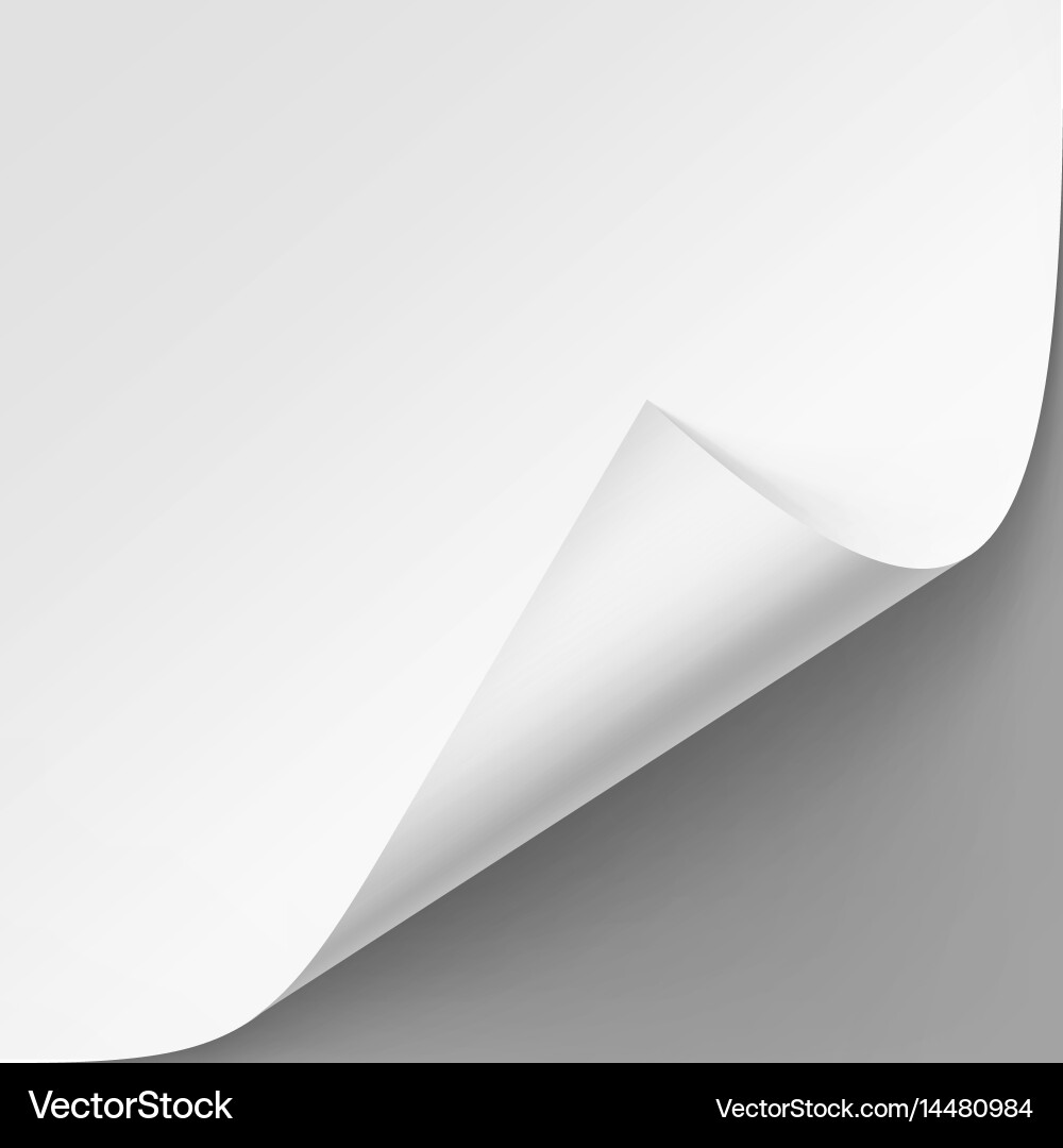 Curled corner of white paper with shadow Vector Image