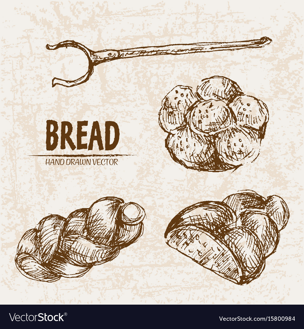 Digital detailed line art Royalty Free Vector Image