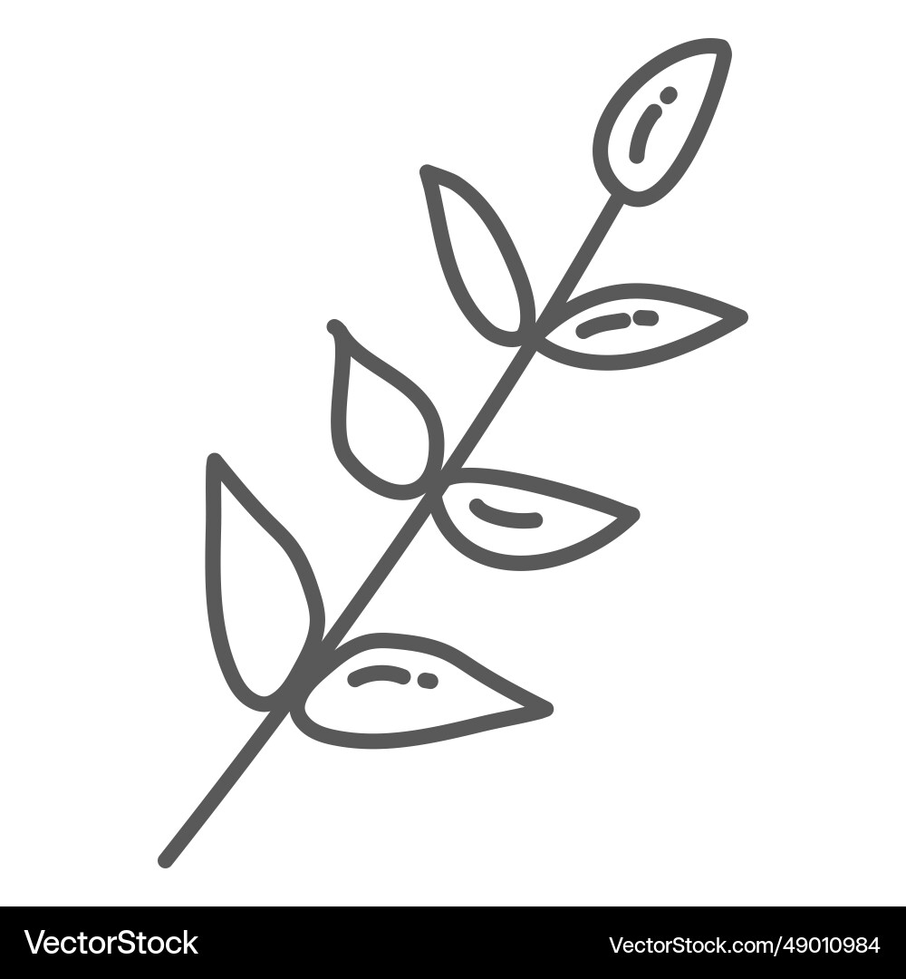Stem leaf doodle Royalty Free Vector Image - VectorStock