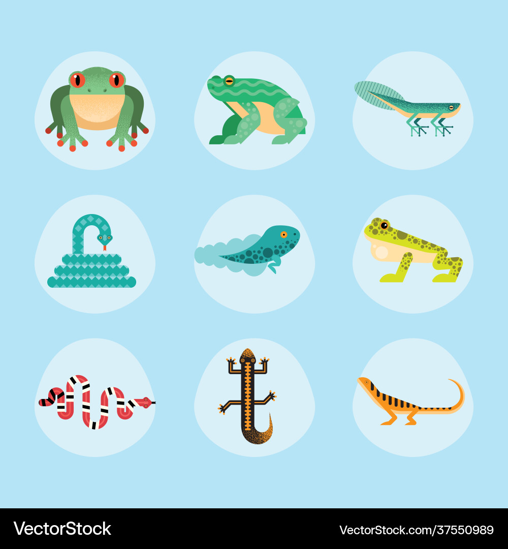 Cute nine amphibians Royalty Free Vector Image