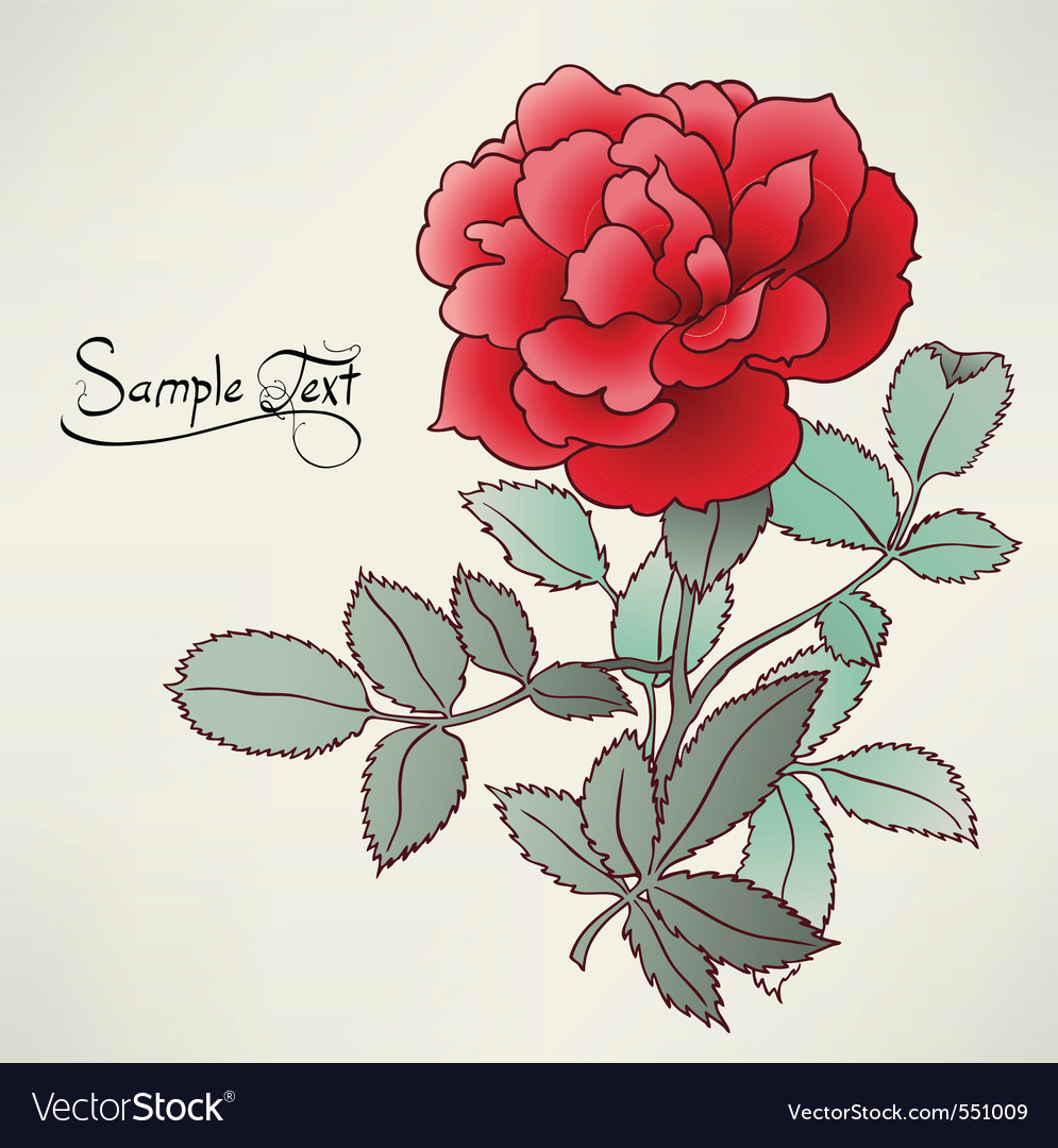 Rose Royalty Free Vector Image - VectorStock