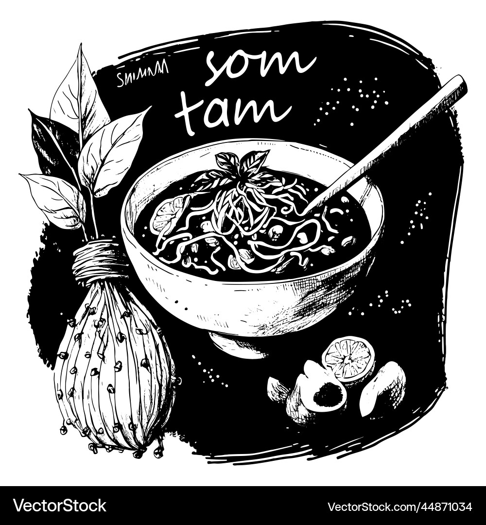 Hand drawn som tam sketch style Royalty Free Vector Image