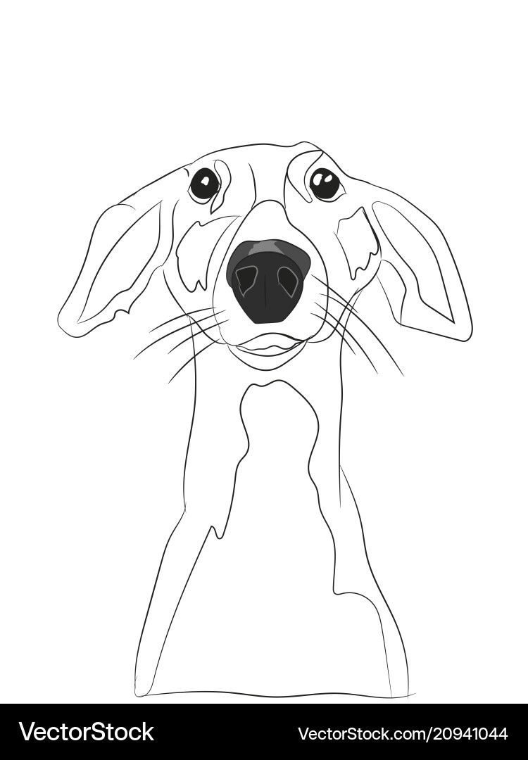 Dog portrait lines Royalty Free Vector Image - VectorStock