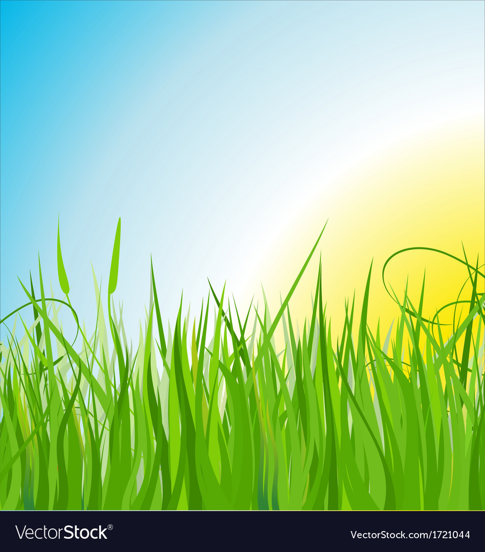 Grass background Royalty Free Vector Image - VectorStock