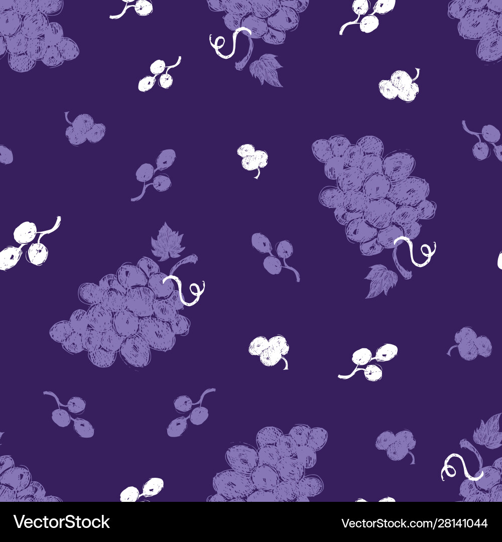 Purple monochrome grapes sketch Royalty Free Vector Image