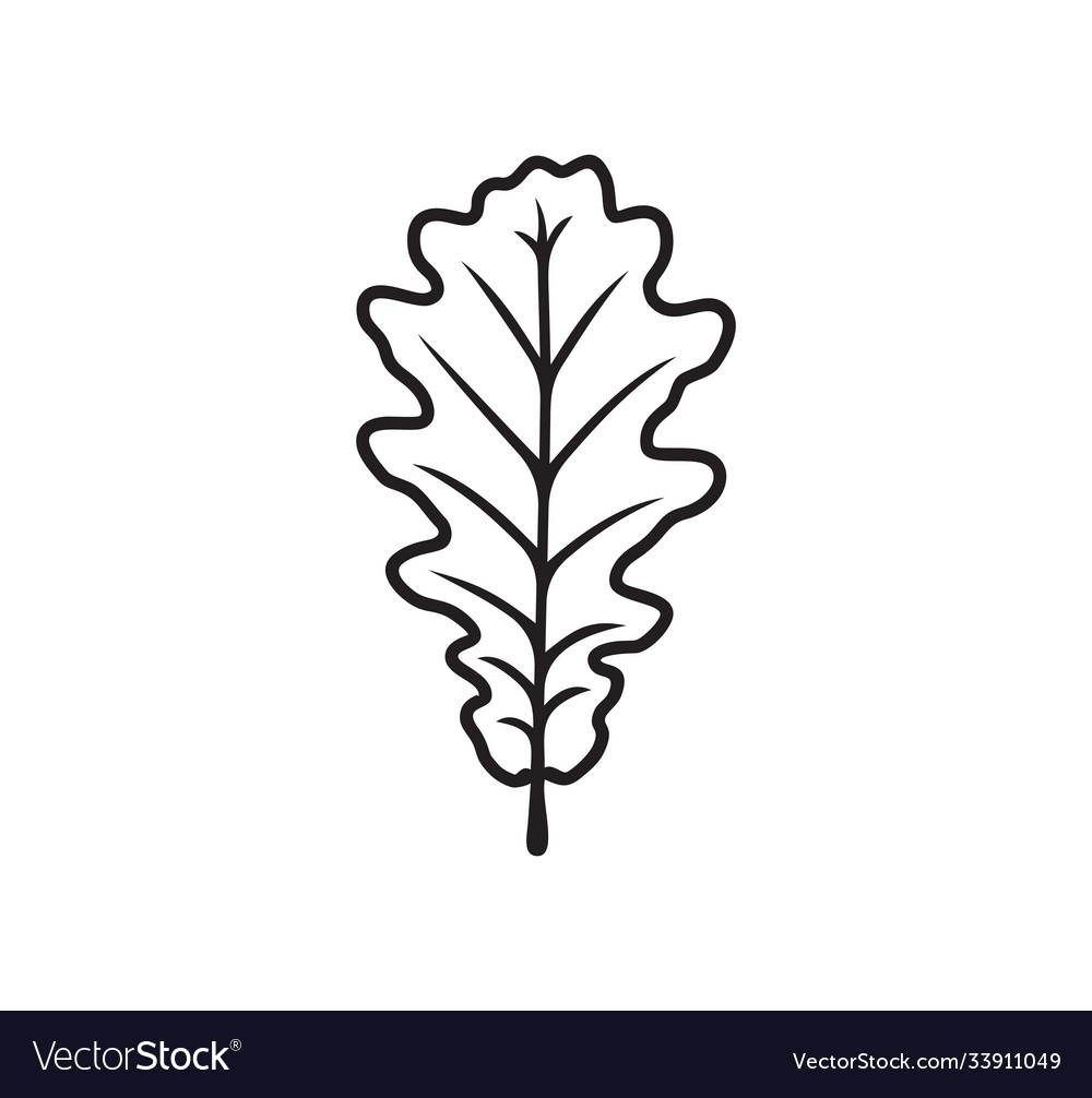 Oak leaf Royalty Free Vector Image - VectorStock