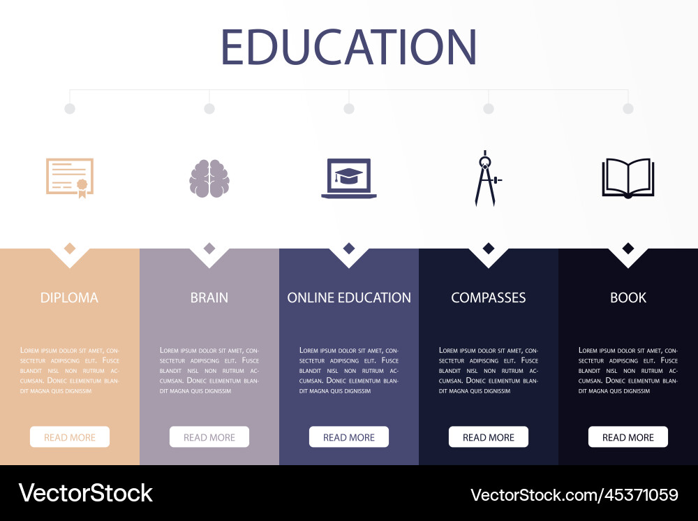 Diploma brain online education compasses book Vector Image